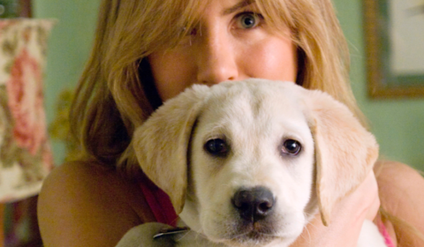 10 Must-Watch Animal Movies - Pets in Film: A Look at What Animals ...