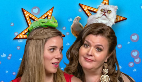 Netflix’s ‘Pet Stars’ - Where Pets Meet Social Media - Hollywood Insider